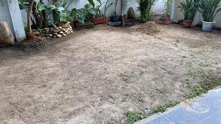 Garden soil and grass clean up service – Garden Plus