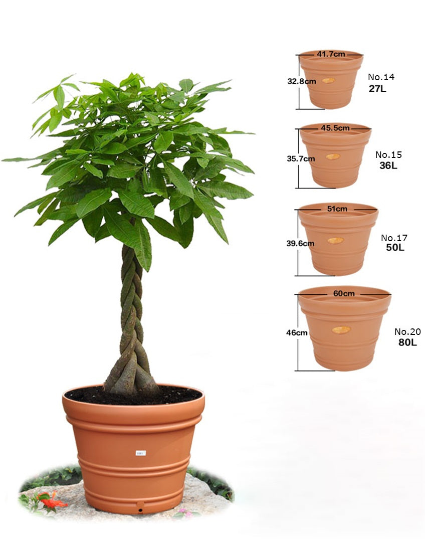Pots & Planters - Garden Plus